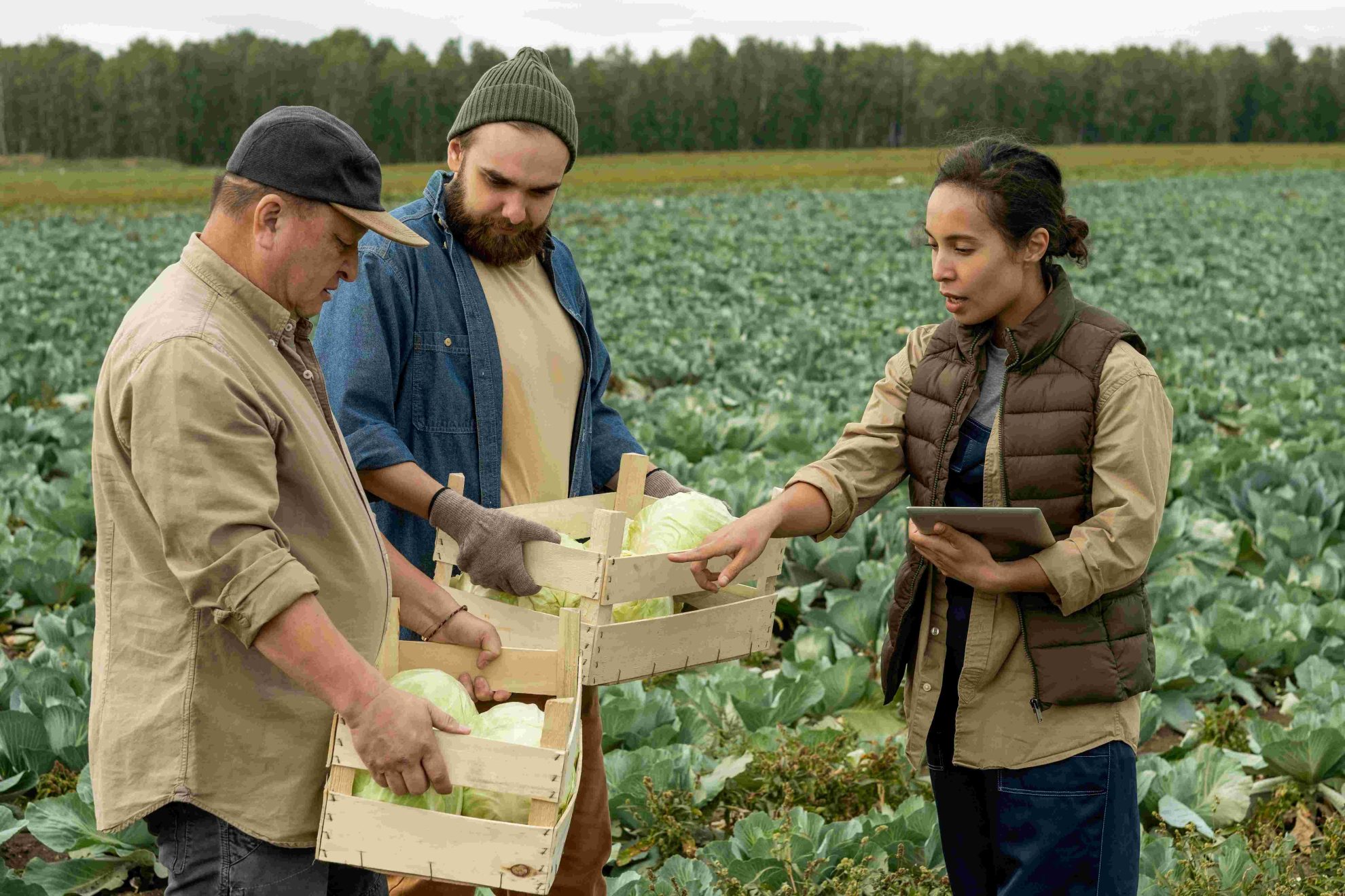 AI in HR: Transforming Farm Operations with CloudApper