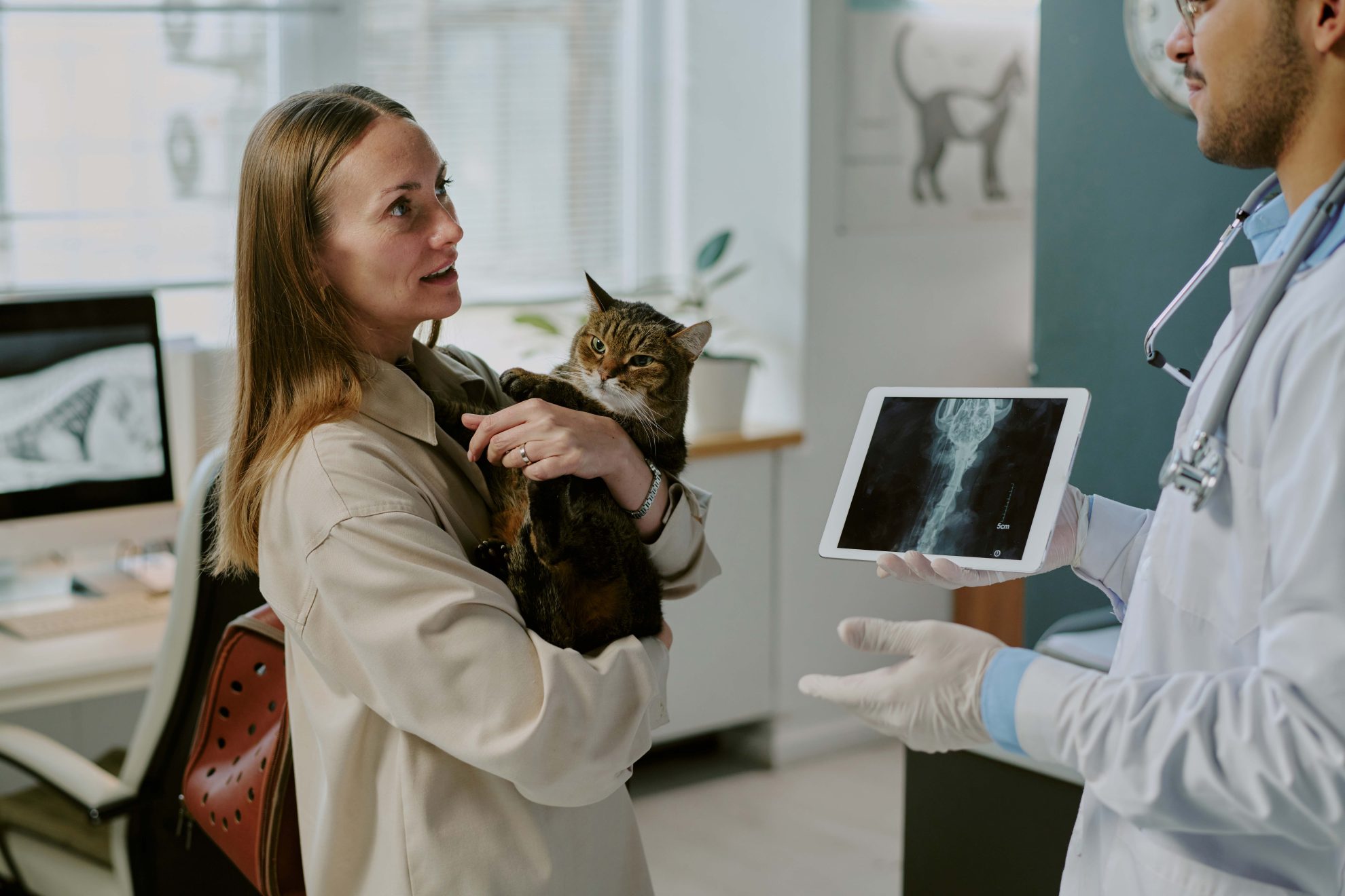 AI in Veterinary & Pet Care: Enhancing Clinic & Mobile Vet Services